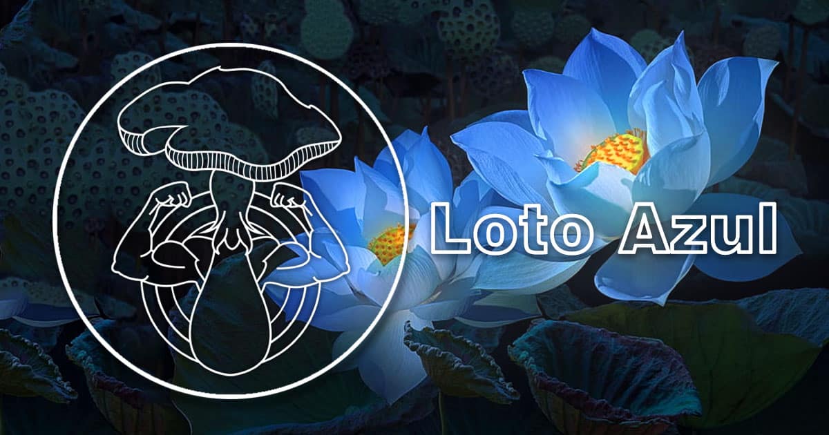 🔥 TODO SOBRE EL LOTO AZUL 🔥 - ESPINAKAGROW