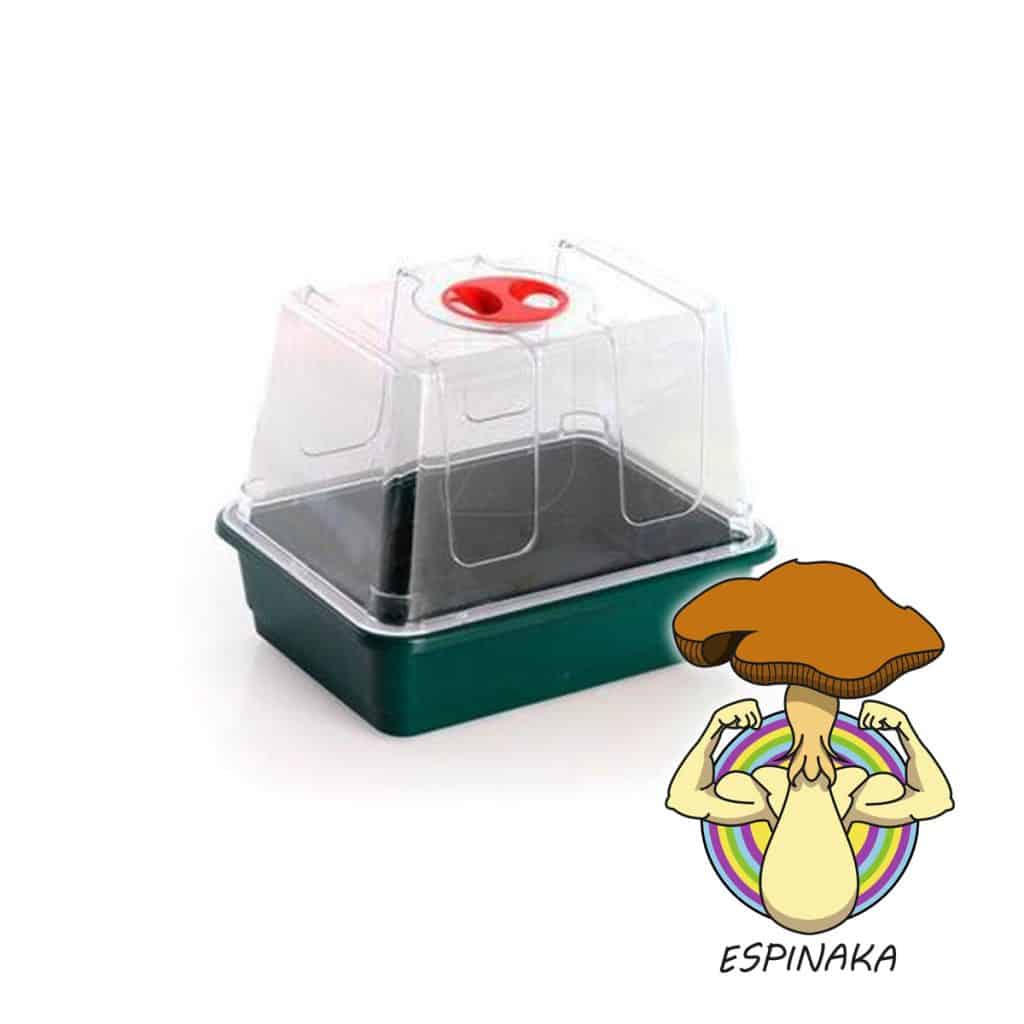 CONTROL CLIMA - ESPINAKAGROW