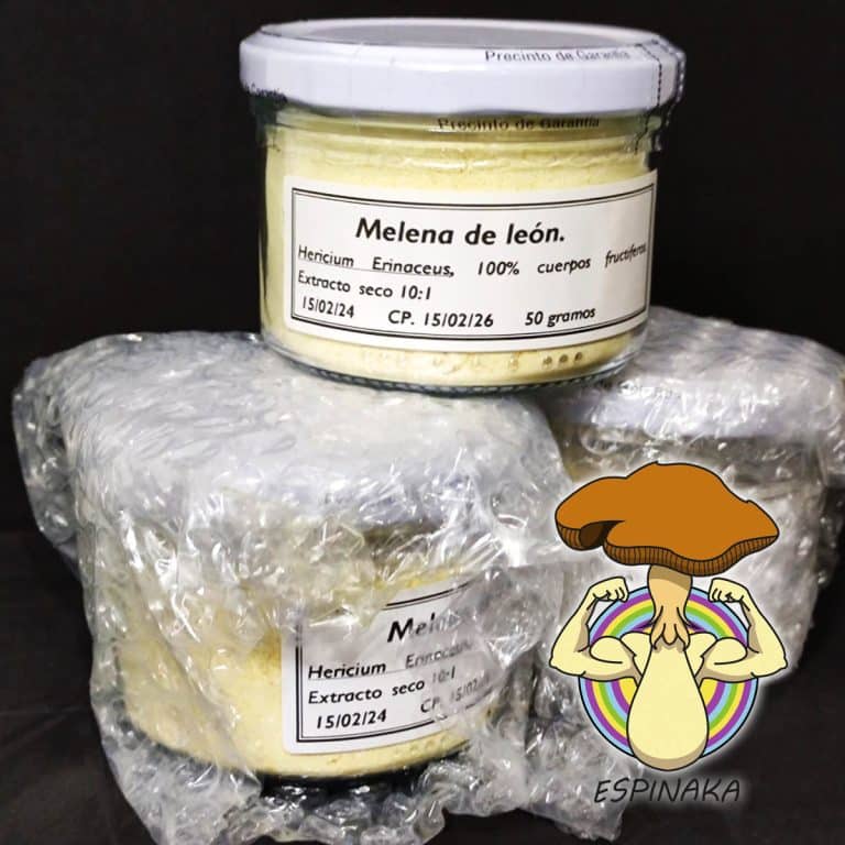 HOJAS DE CHACRUNA (PSYCHOTRIA VIRIDIS) ESPINAKAGROW